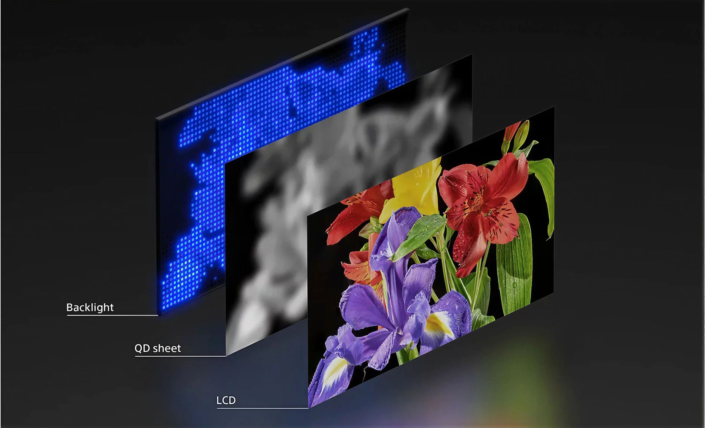 Micro RGB or OLED: what are the differences when choosing your TV in ...