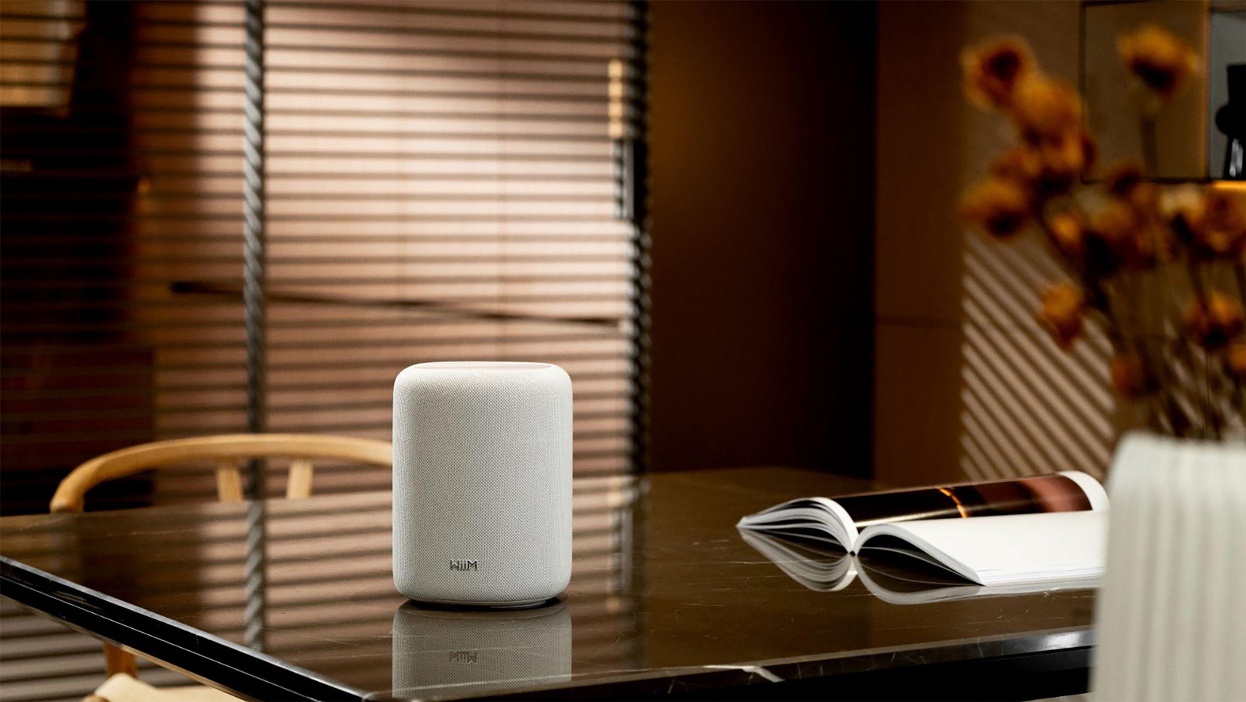 WiiM: up to 20% off streamers and connected amplifiers - HomeCineSolutions