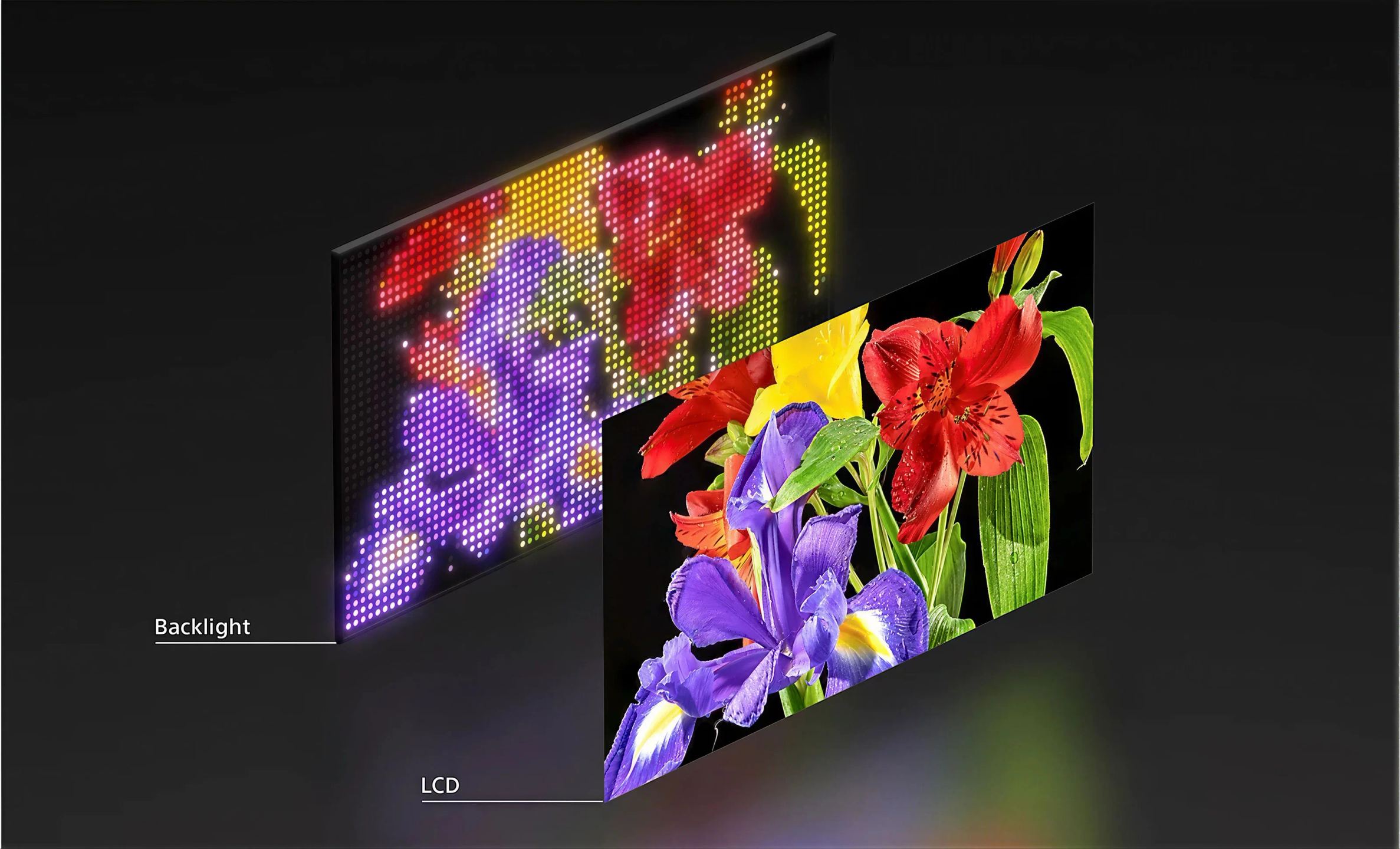 Micro RGB or OLED: what are the differences when choosing your TV in ...